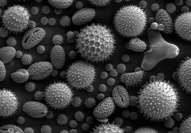 Non Viable Particle Counts Monitoring-Basics & Applications ...